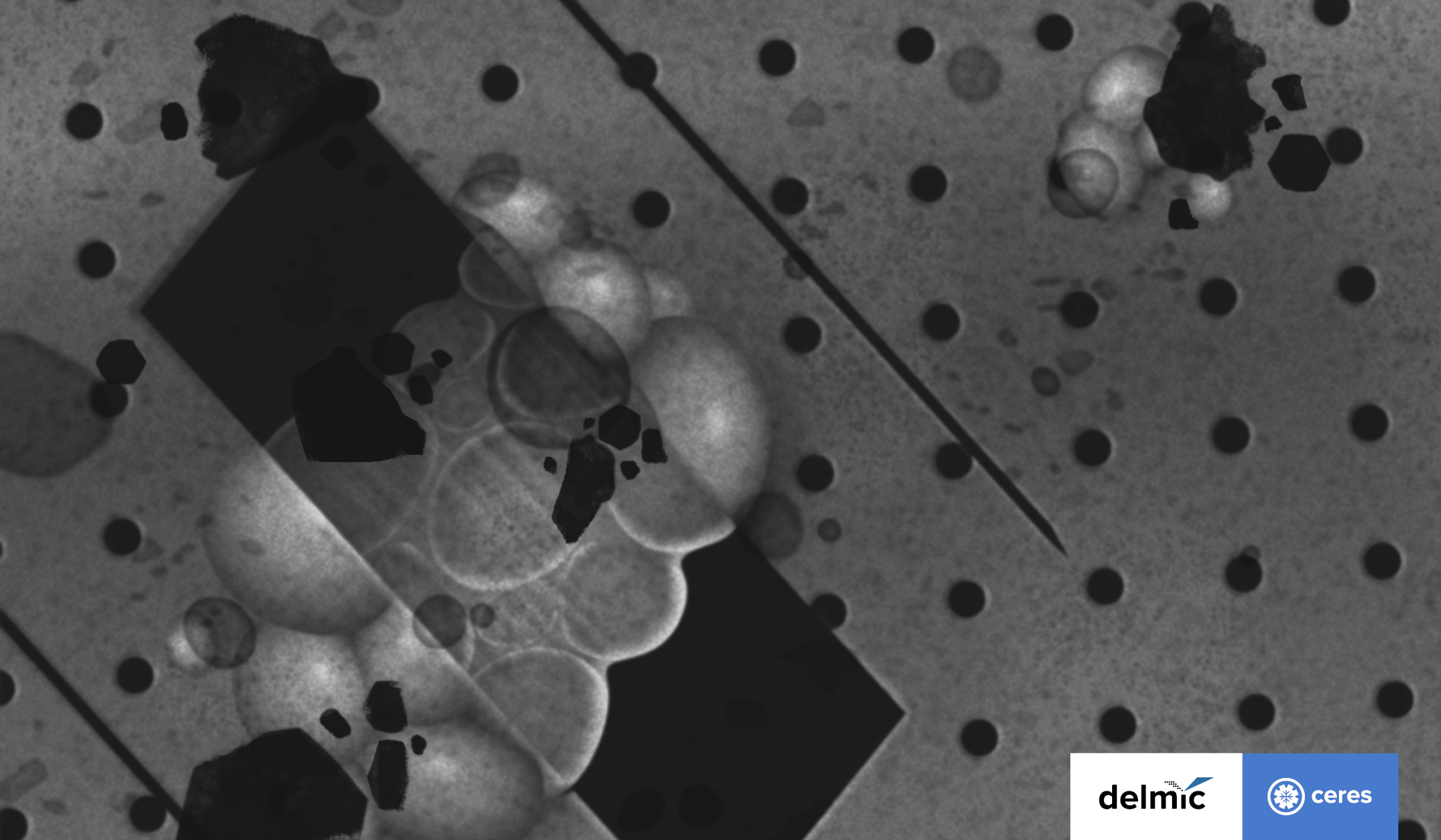 Preventing ice contamination in the cryo-ET workflow Preventing ice contamination in the cryo-ET workflow